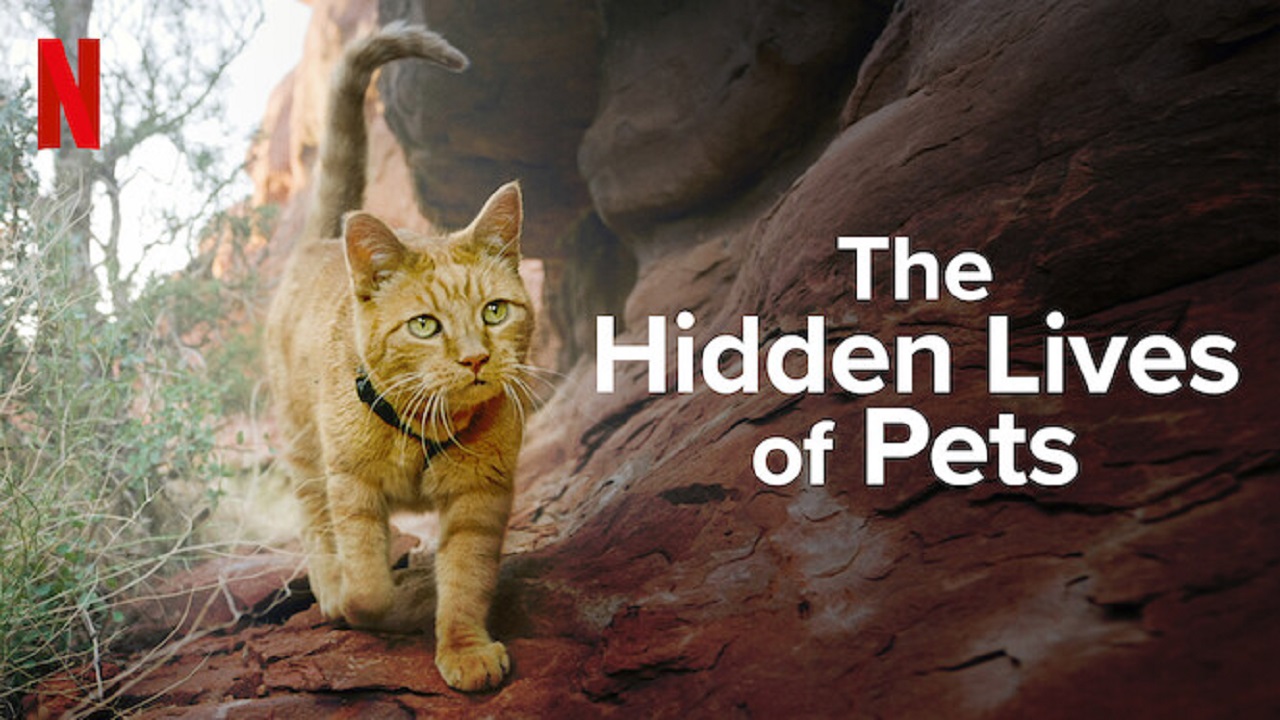 مستند زندگی های پنهان حیوانات خانگی The Hidden Lives of Pets 2022